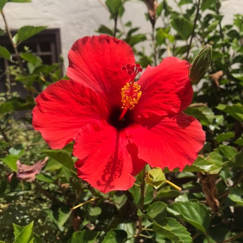 Friday Happiness Checklist - 5am Joel