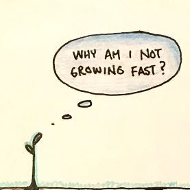 Why am I not growing very fast? - 5am Joel
